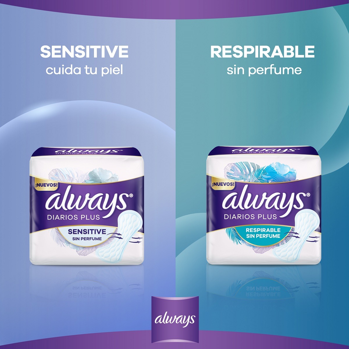 Protectores Diarios Always Plus Sensitive - Sergio Perfumerias